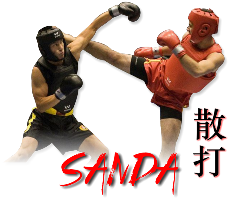 Sanda - Sifu Márcio Honório